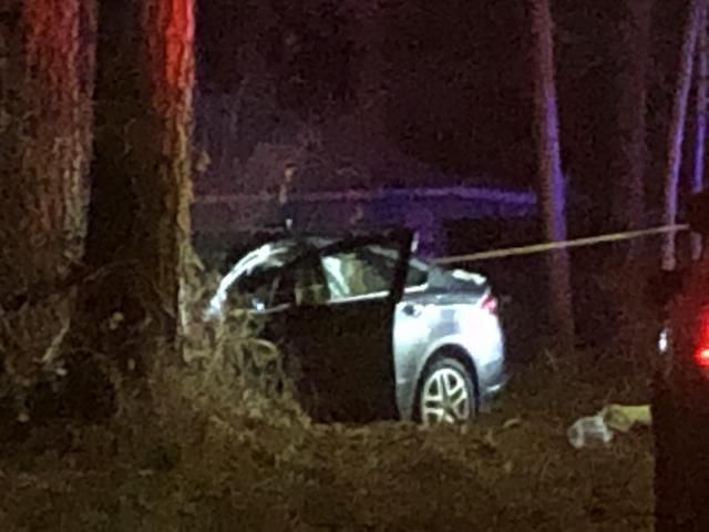 Man dies after hitting tree when fleeing police