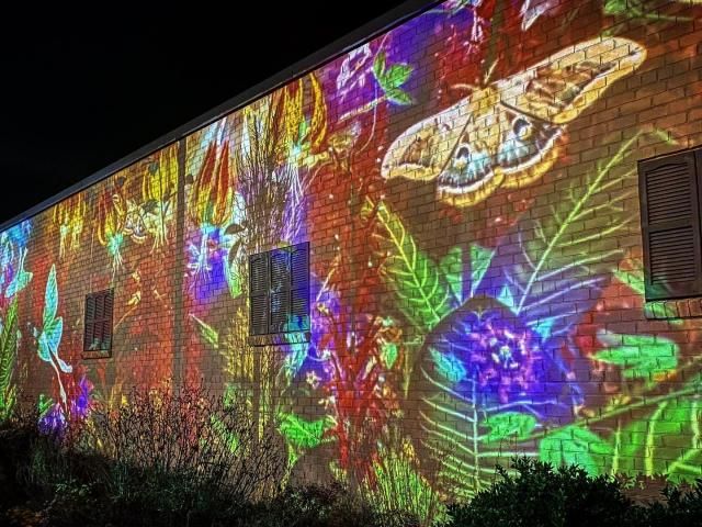 Surprise! New virtual reality mural appears in downtown Cary
