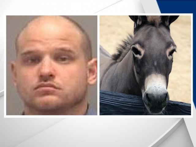 Man accused of shooting donkey in Apex arrested, sheriff says