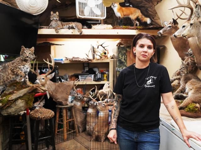 NC women breathe new life into male-dominated field of taxidermy