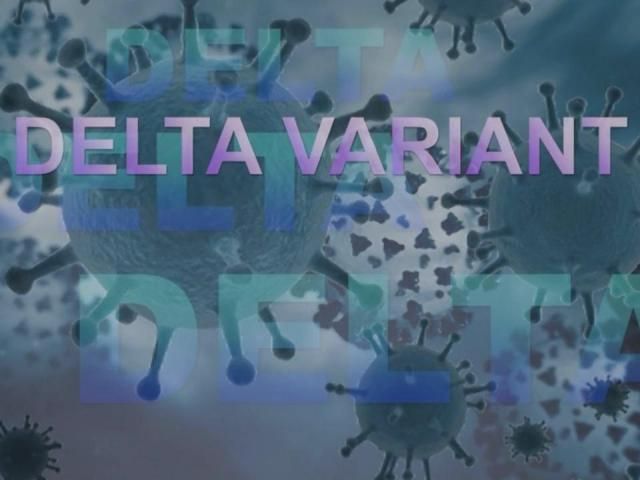 Delta became the dominant coronavirus strain in other countries first ...