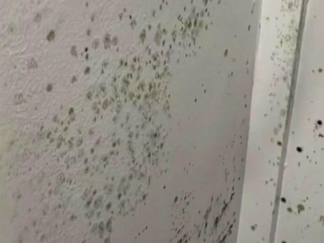 Students report coughing, sore throats from mold in Duke dorms