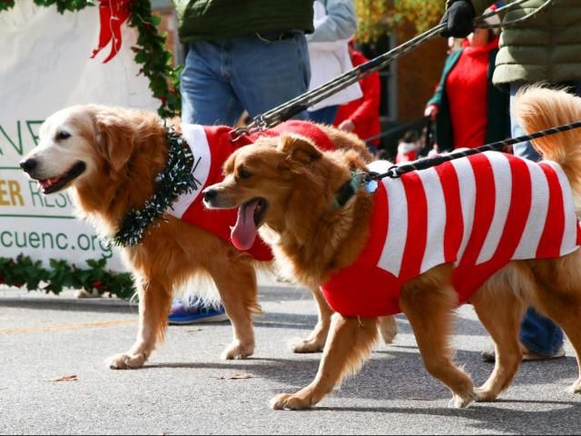 Weekend picks: Raleigh Christmas Parade and tree lightings