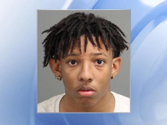 Teen accepts plea deal in murder of 17-year-old girl, sentenced to up ...