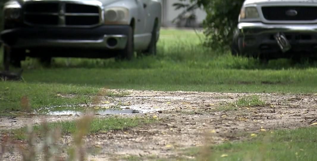 Preliminary report: Baby found buried in Erwin yard died of blunt force ...