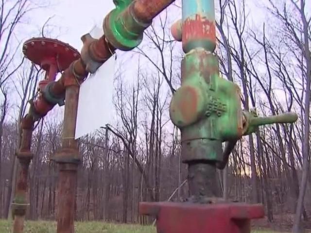 MEG JAMISON: Local governments call for strong, affordable carbon plan