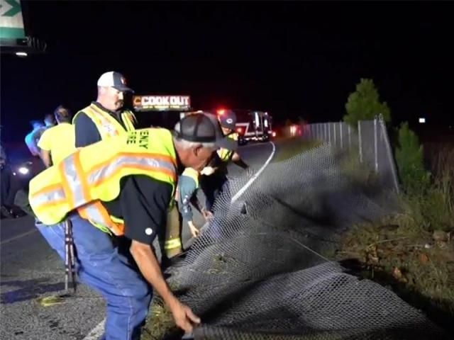 Driver standing beside I-95 after his own crash becomes a victim of hit ...