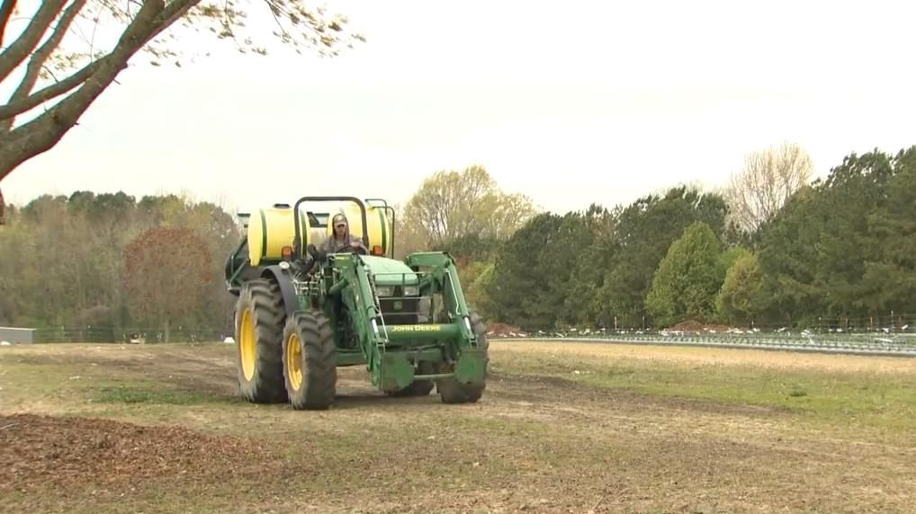 North Carolina farmers adjust planting, harvest schedule to adapt to ...