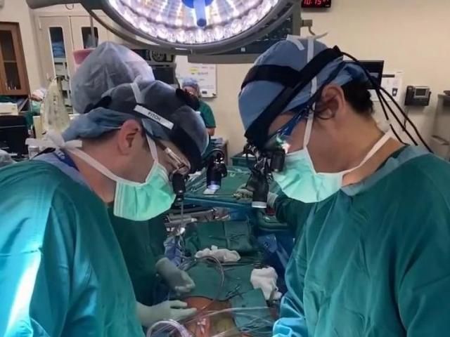 New method of heart transplantation could increase supply of donor ...