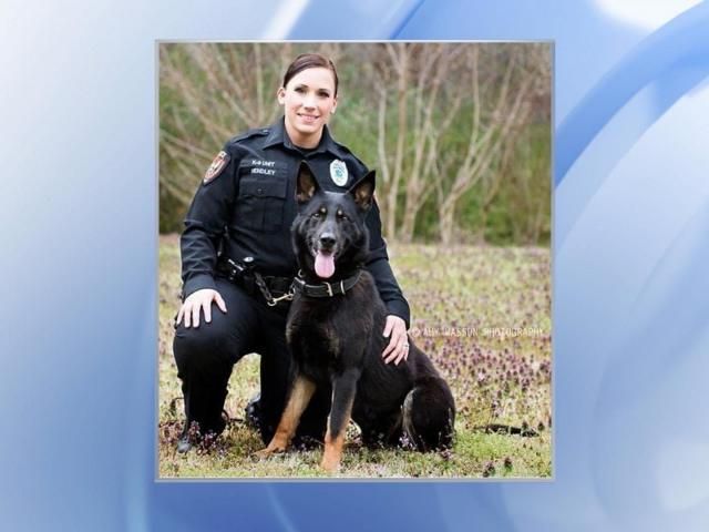 'A true hero': Holly Springs Police Department mourns loss of K-9 ...