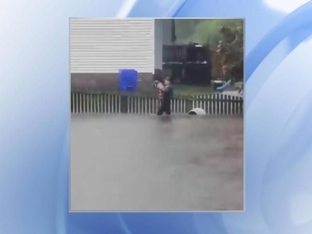 Greenville police officer rescues pit bull from nearly drowning in ...