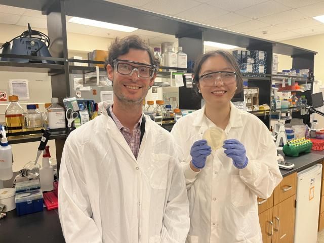 Area innovators hope to reduce the unnerving amount of microplastics ...