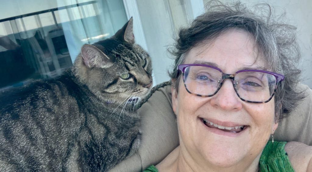 The cat that got lost on the way to college