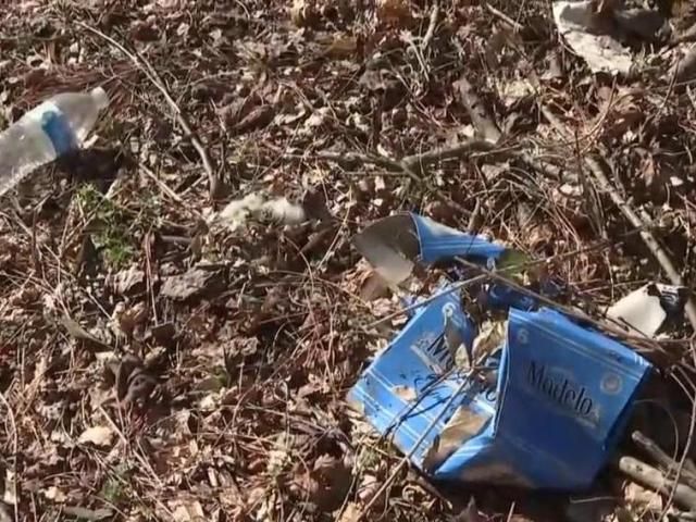 Volunteers prepare for statewide 'Litter Sweep,' as litter costs ...