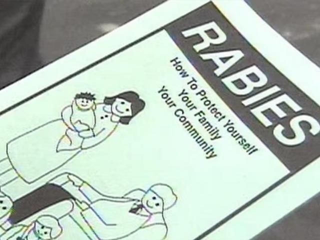 Rabies alert: 4-year-old girl bitten by rabid fox in Raleigh neighborhood