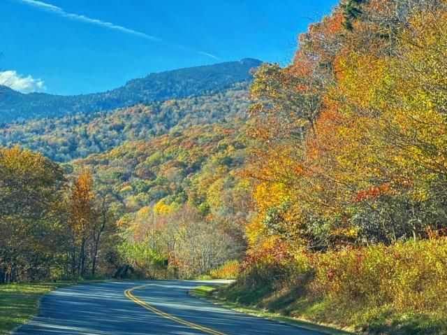 These 6 scenic drives will take you to North Carolina's most incredible places