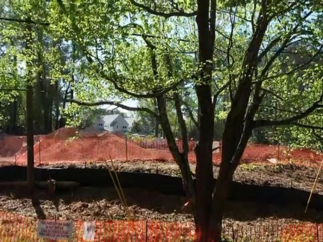 Raleigh activists call for increased tree plantings amid development