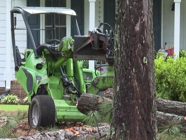 Tree falls on man in Wake County neighborhood