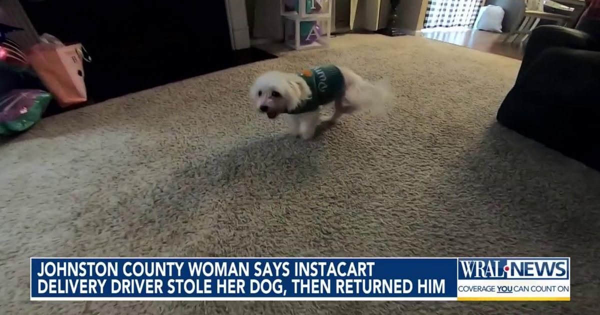 Johnston County woman says Instacart delivery driver stole her dog ...
