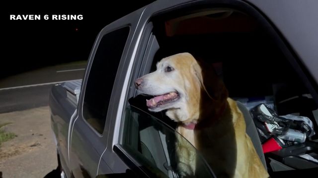 Owner reunited with dog after tornado