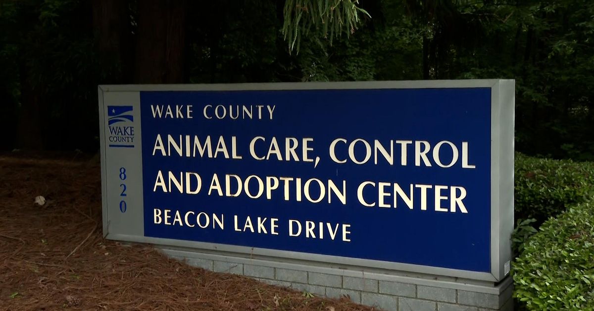 Wake animal shelter no longer allowing children on adoption floor after ...