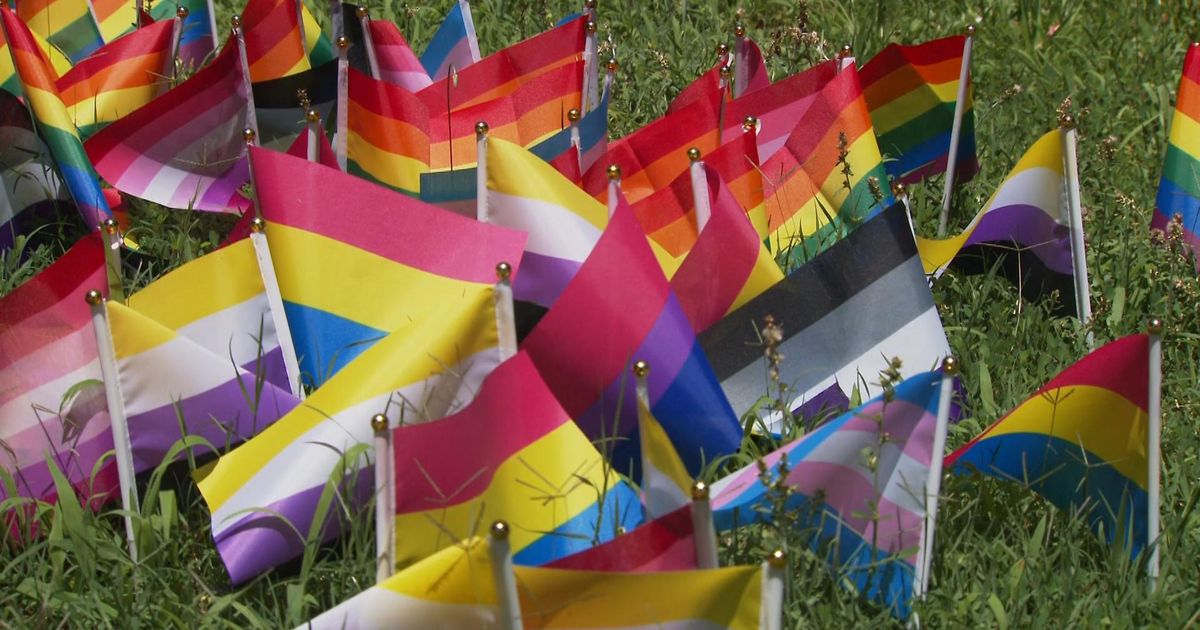 Pride flags stolen in Cary neighborhood days ahead of Raleigh Pride ...