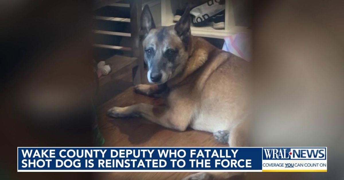 Wake Co. deputy who shot, killed dog after entering home to stay with ...