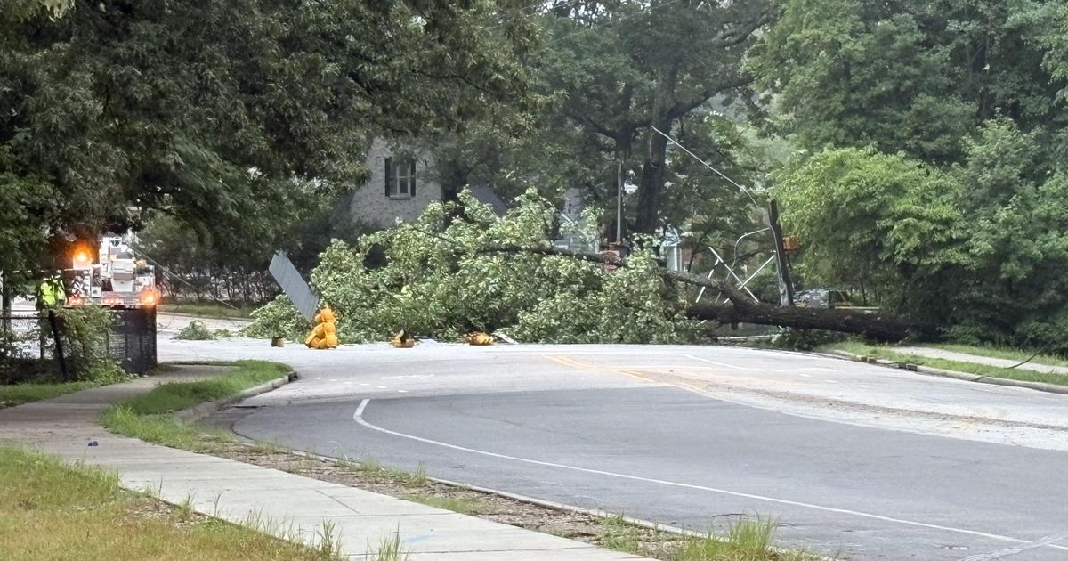 Large tree brings down traffic lights near Village District in Raleigh ...
