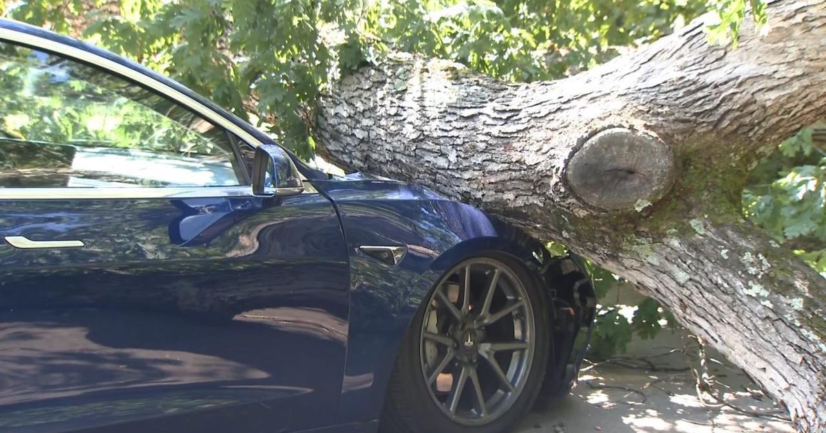 Tree falls, crushes Tesla in north Raleigh neighborhood :: WRAL.com