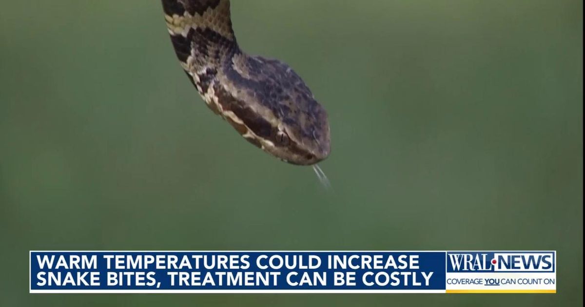 Rising temps lead to more snake encounters: Treatment for bites can be ...