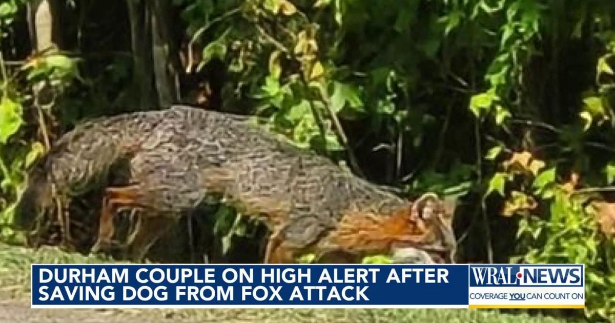 'Everyone's on alert': Residents in Durham neighborhood scared after ...
