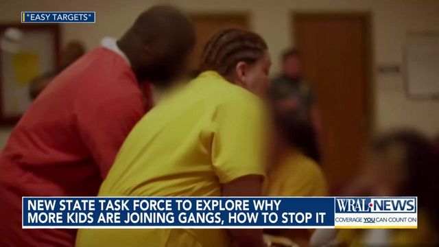 New state task force to explore why more kids are joining gangs, how to ...