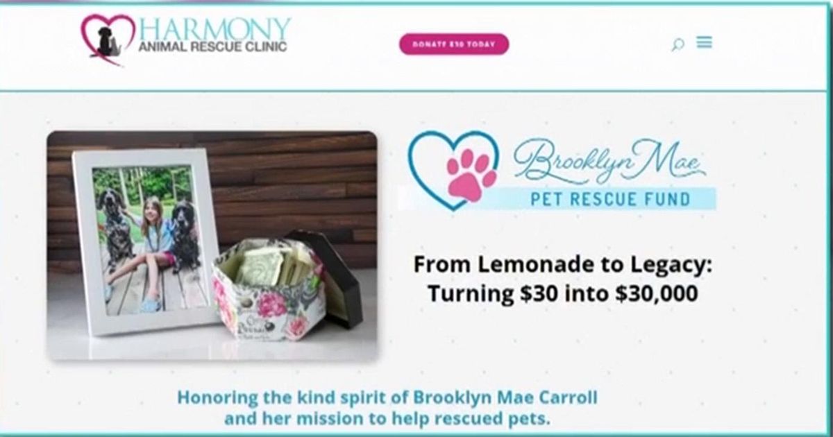 Apex rescue clinic launches fund to honor young girl's legacy with ...