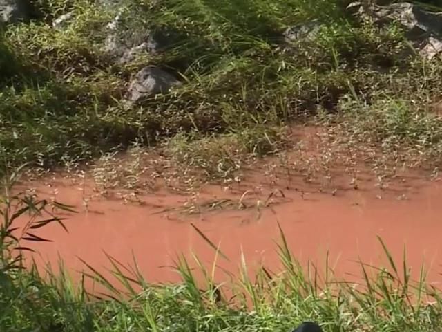 Settlement aims to curb Durham runoff