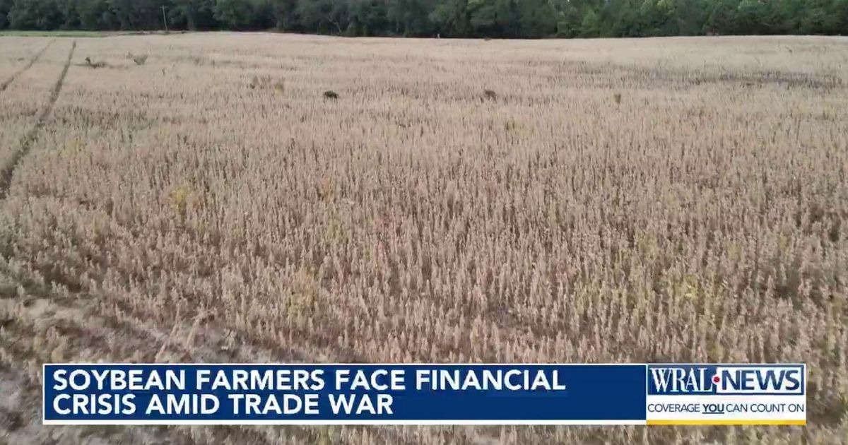 North Carolina soybean farmers face financial crisis amid trade war and ...