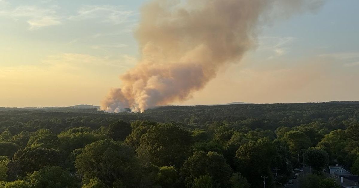 Fire in Orange County burns part of UNC-owned woods, cause under ...