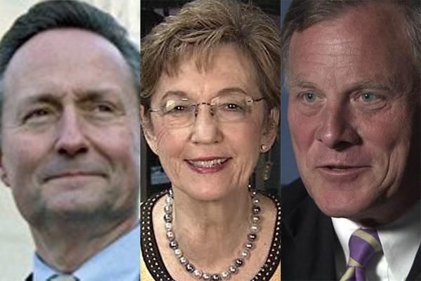 In their own words: Senate candidates