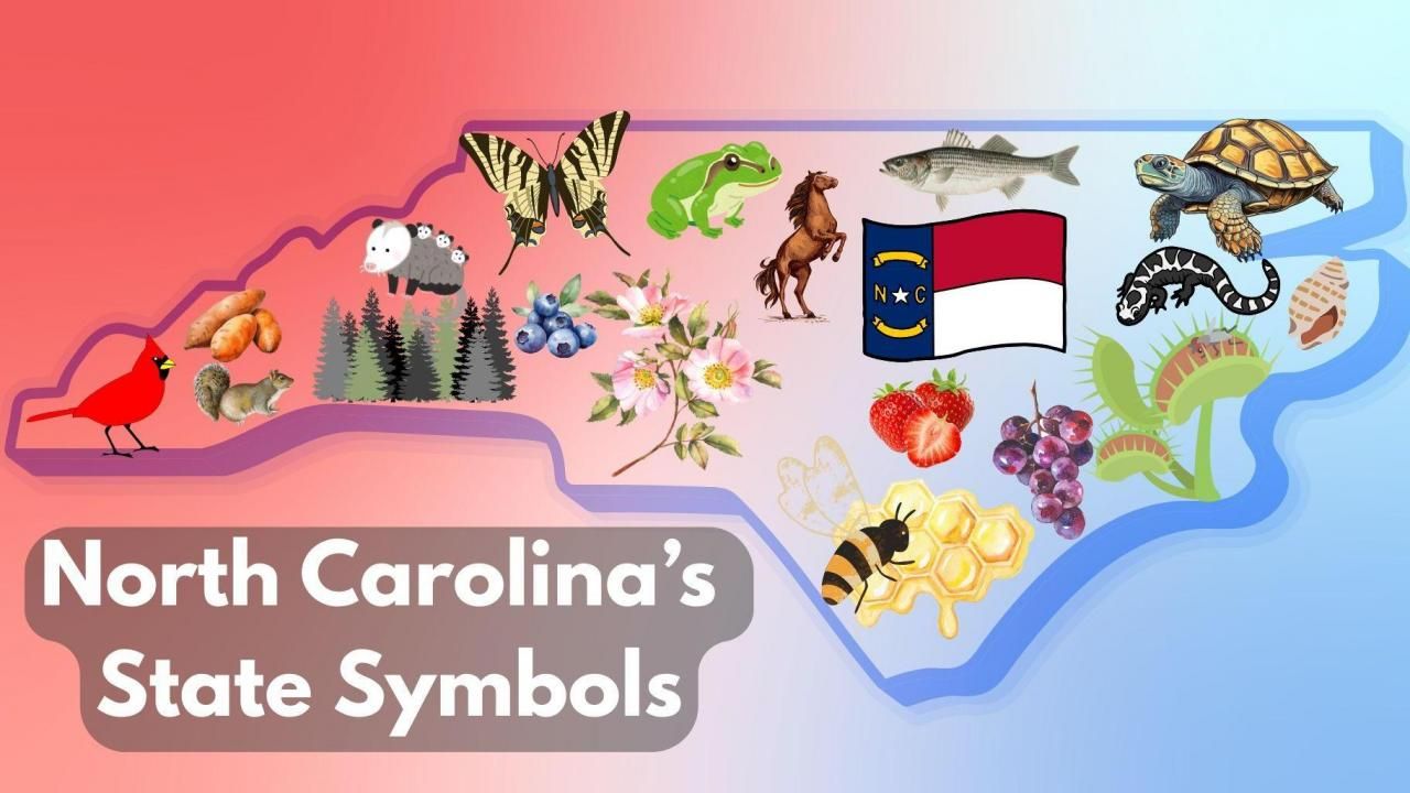 north carolina flower and bird