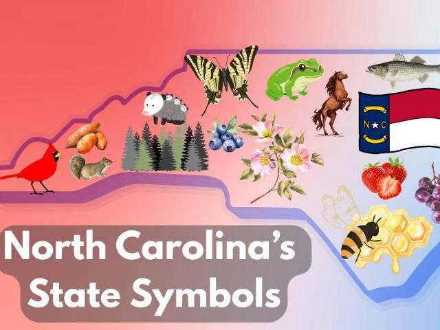 2025: The Year of North Carolina - Symbols that shape the Tar Heel State