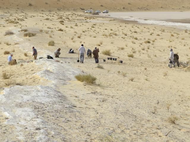 A Fossilized Finger Bone May Be From the Earliest Humans on the Arabian ...