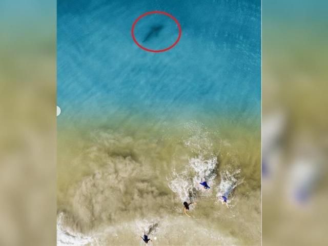 Dad Claims Drone Helped Him Spot Shark Swimming Near Kids On Florida Beach