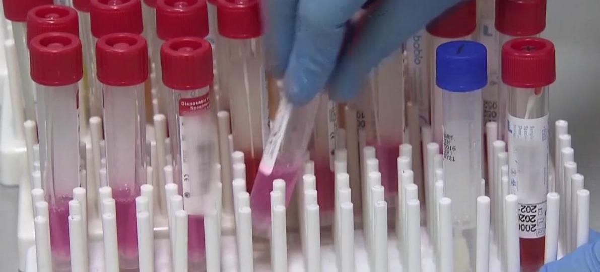 Step-by-step overview: What else needs to happen before vaccinations begin?