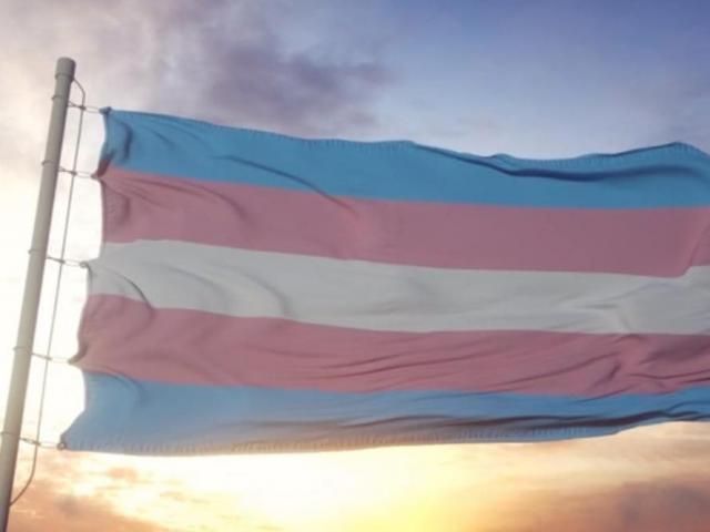 North Carolina lawmakers revive ban on gender-affirming care for ...