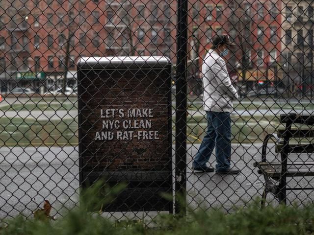 New York City appoints its first-ever 'rat czar'
