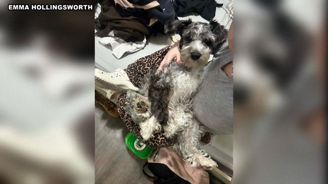 US marshal kicks small dog, owner says there was 'no reason' to do so