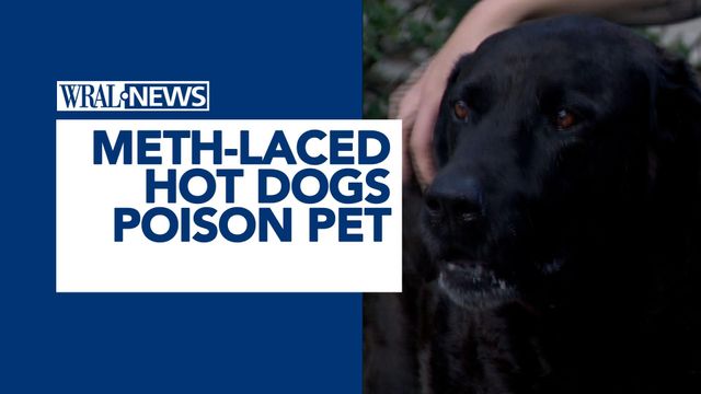 Meth-laced hot dogs poison family pet