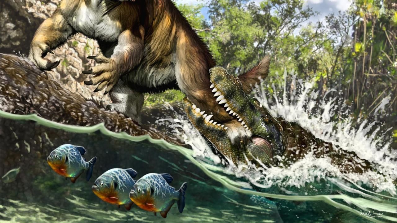 purrussaurus bite force