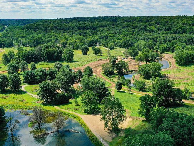 Abandoned golf courses are being reclaimed by nature