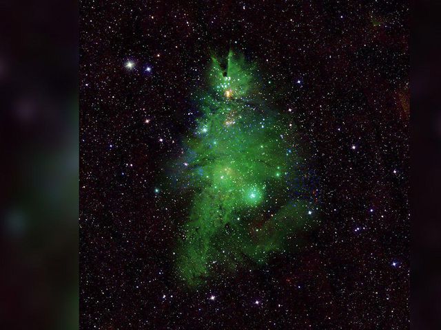 Stunning new images reveal ‘Christmas Tree Cluster’ and celestial snow ...
