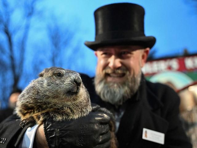 The animals you can count on to predict weather, according to science